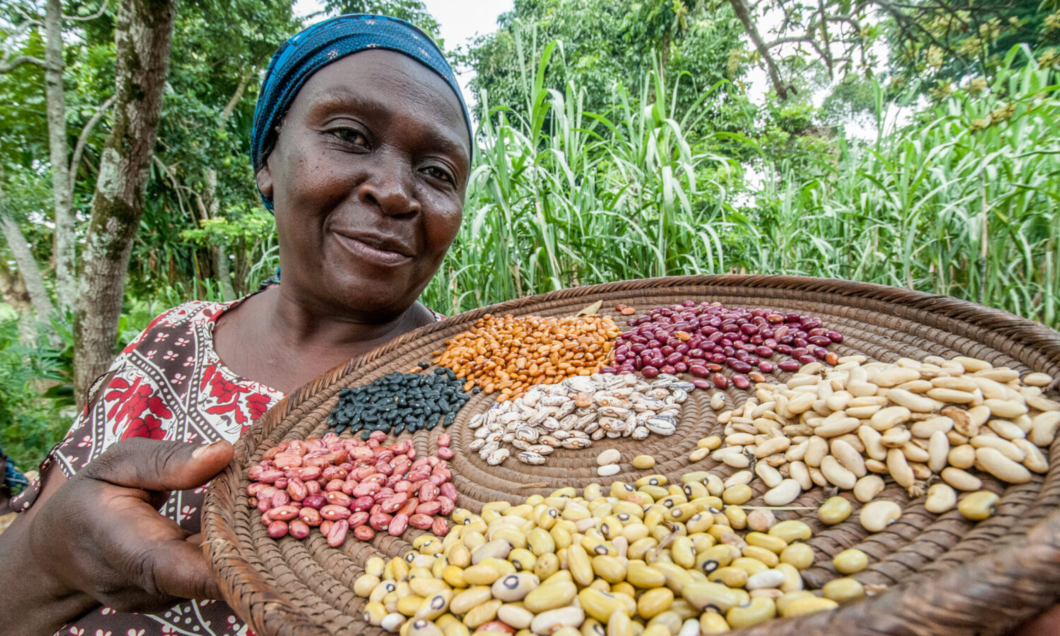 Global: WPHF Launches First Ever Global Funding Appeal Supporting Women ...